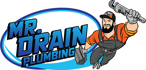 Meet The Team | Mr. Drain